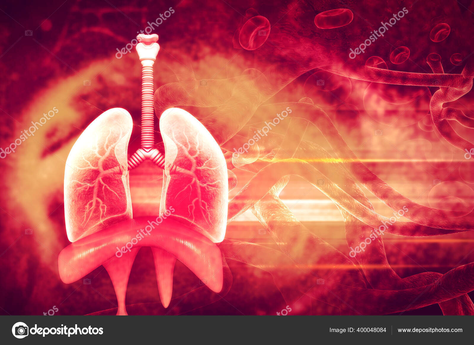 Human Lungs Scientific Background Illustration Stock Photo by ...