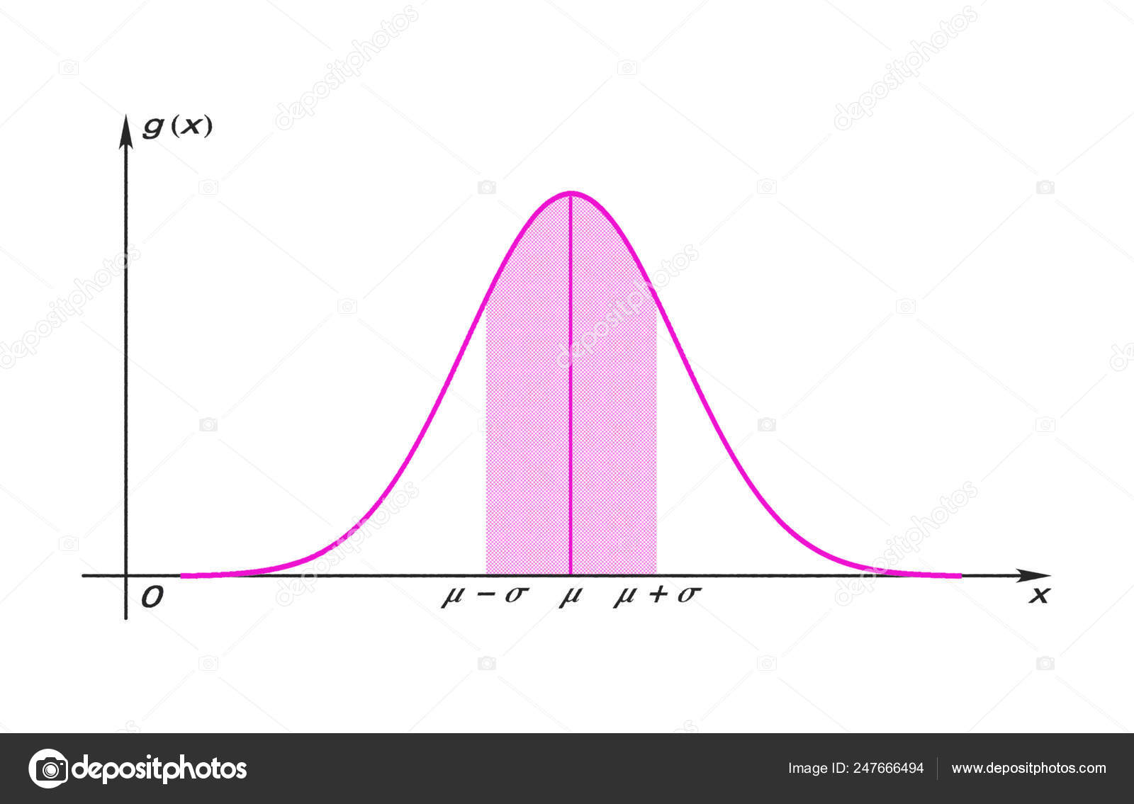 Gráfico de la función Gauss: fotografía de stock © benjaminec ...