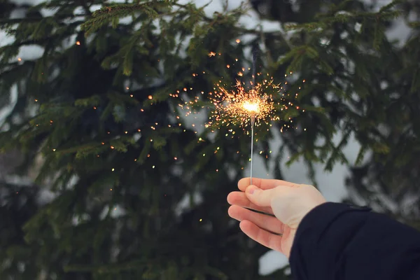 Sparkler holidays Stock Photos, Royalty Free Sparkler holidays Images ...