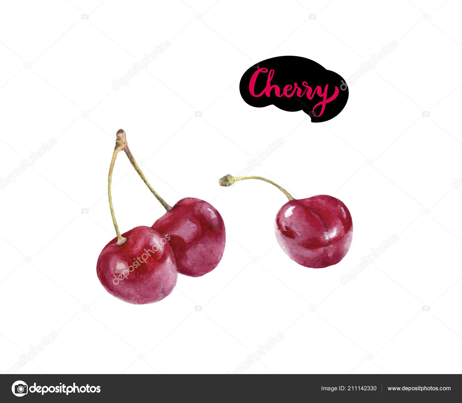 Cerise aquarelle dessin à la main illustration isolée sur blanc — Photo ...
