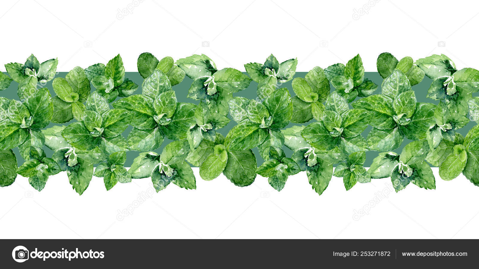 Peppermint Leaf Border