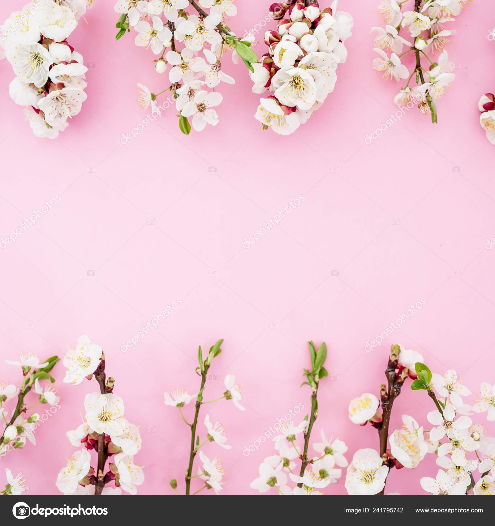 Floral Frame Spring Flowers Pastel Pink Background Flat Lay Top Stock ...