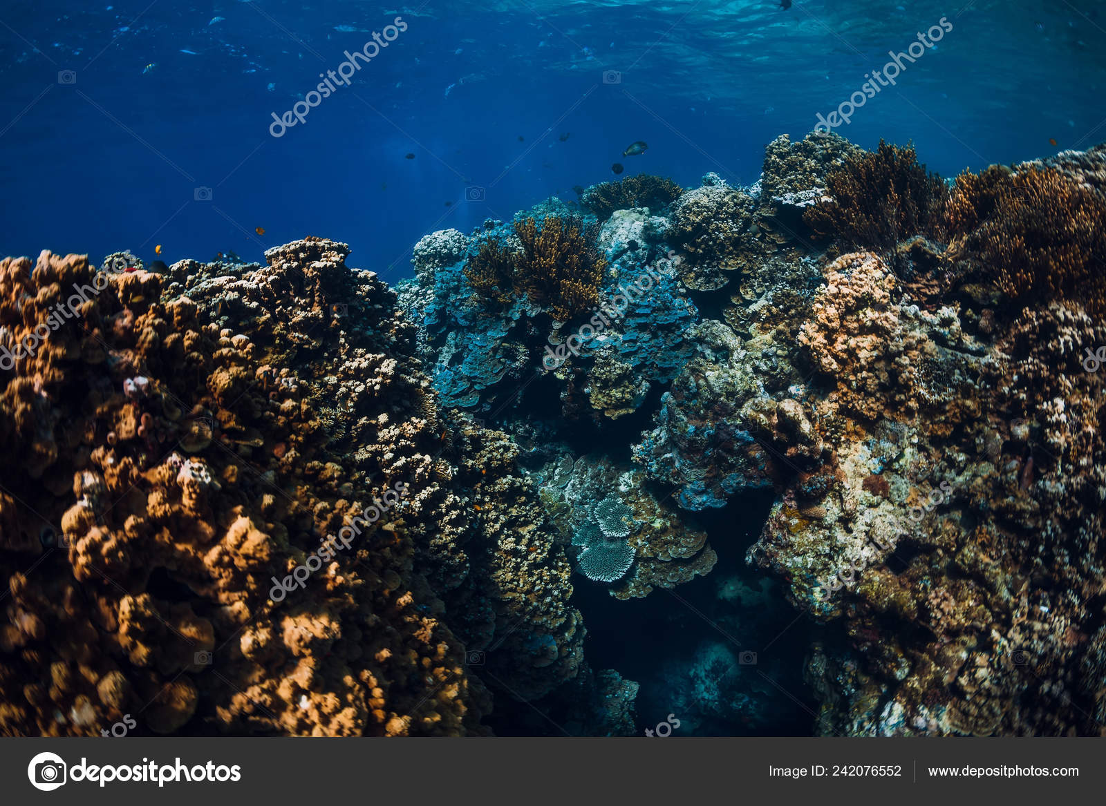 Ocean Rock Underwater