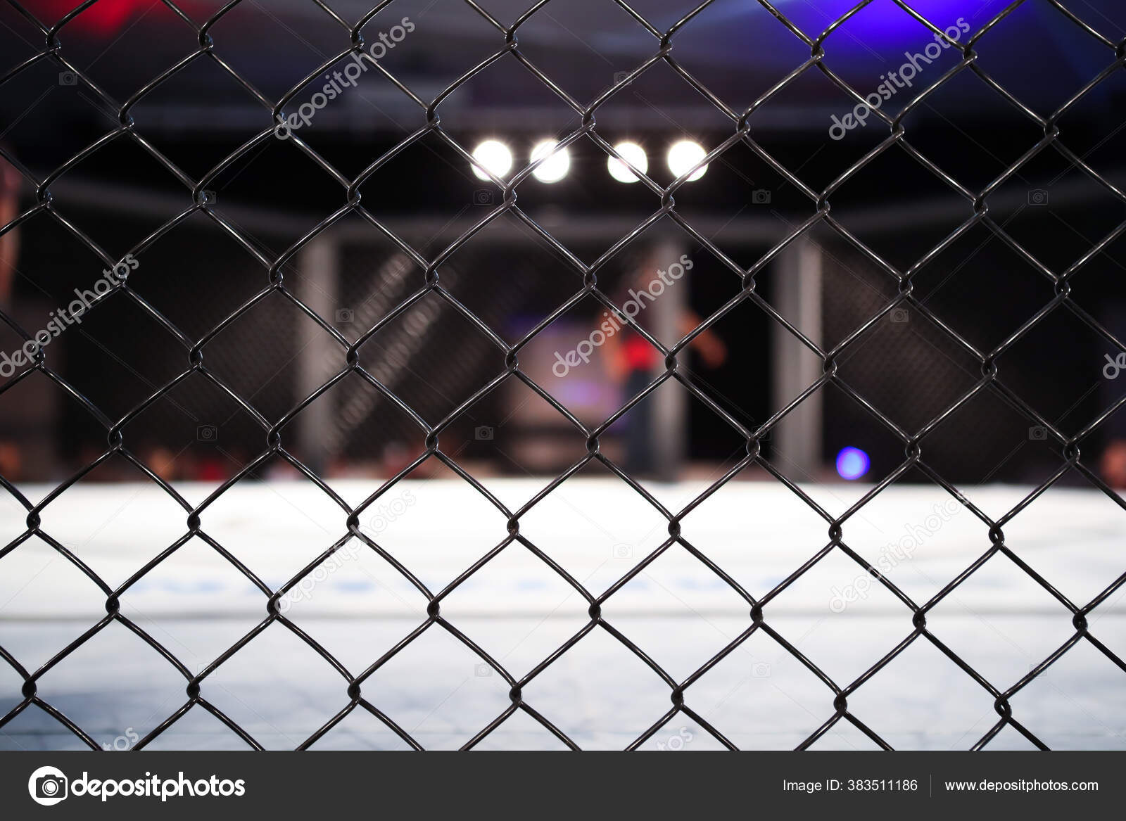 Side View Empty Mma Arena Light Octagon Grid — Stock Photo ...