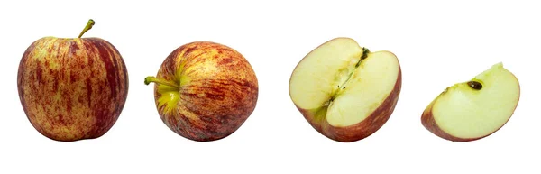 Apple growth stages Stock Photos, Royalty Free Apple growth stages ...