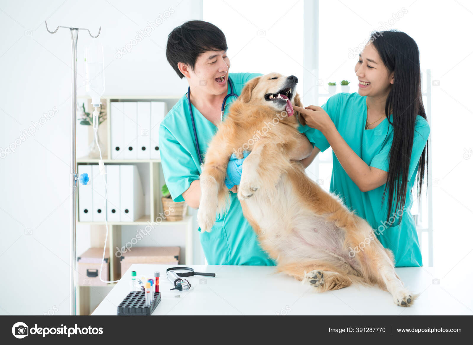 Vet Wearing Stethoscope His Neck Carrying Golden Retriever Dog Smiling ...