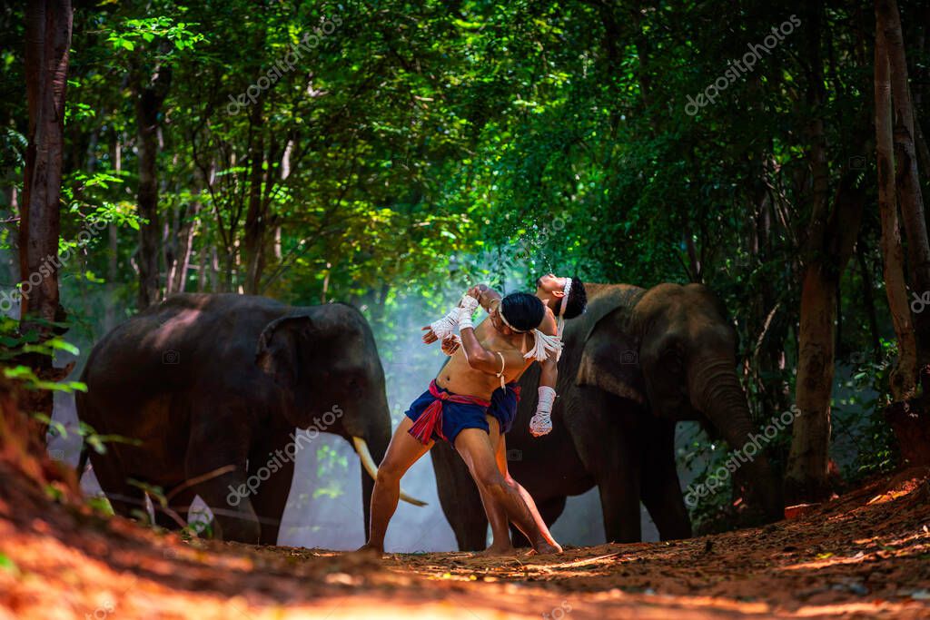 Golpea el codo. Los boxeadores tailandeses están peleando en una selva ...