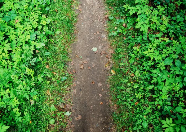 Grit pathway Stock Photos, Royalty Free Grit pathway Images | Depositphotos