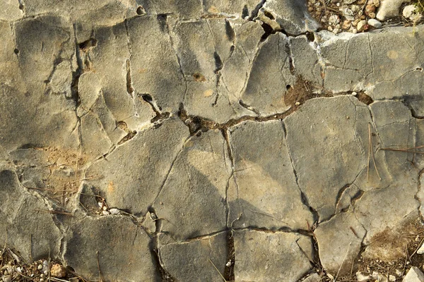 Los paleologia images libres de droit, photos de Los paleologia ...