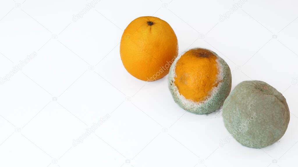 Tres naranjas en etapas de descomposición. Ilustrando el proceso de ...