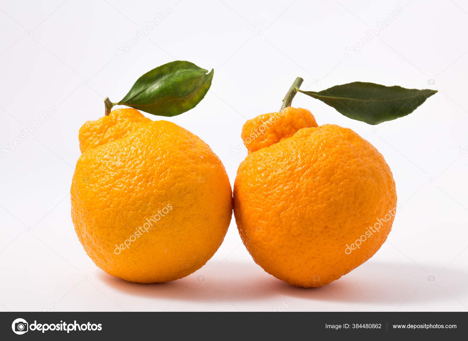 Oranges Jeju Island South Korea Hanrabong — Stock Photo © mujijoa79 ...
