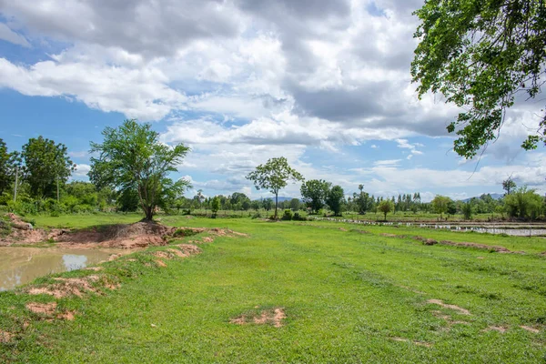 Vacant land Stock Photos, Royalty Free Vacant land Images | Depositphotos