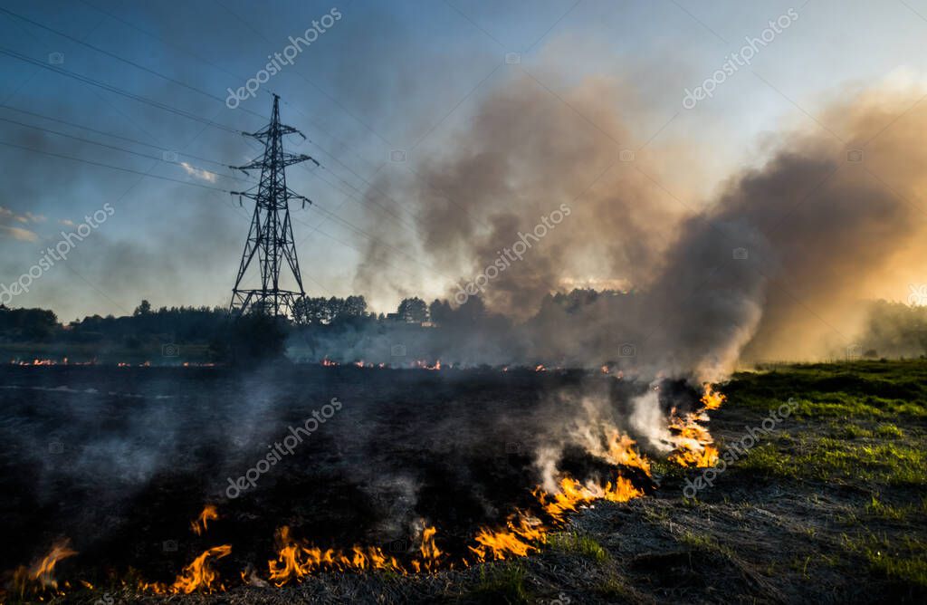 La hierba arde en un prado. Catástrofe ecológica. Fuego y humo ...