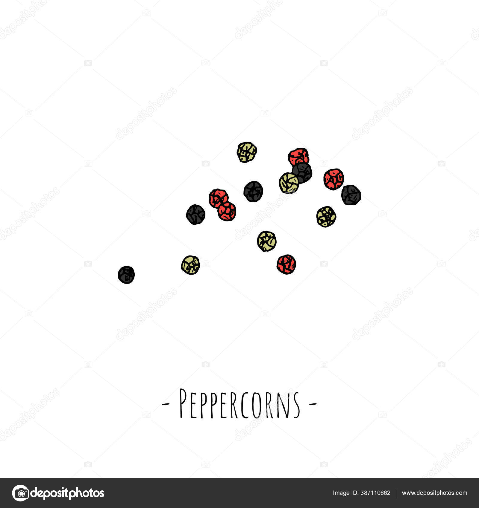 Peppercorns Ilustração Desenho Animado Vetorial Objeto Isolado Sobre ...