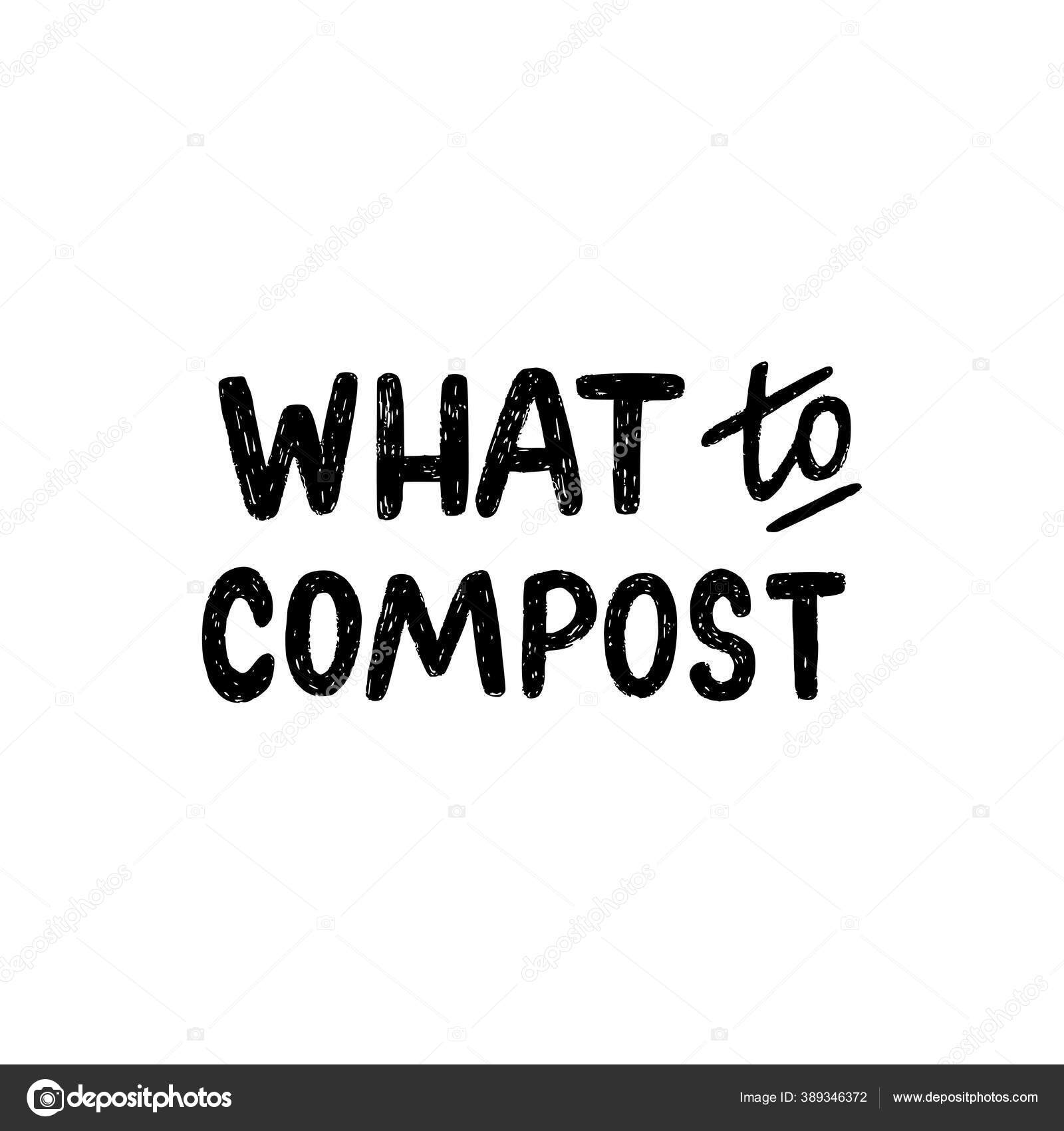 Lettering Text What Compost Hand Drawn Message Zero Waste Education ...