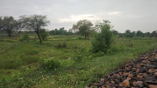 Khatira gond Stock Photos, Royalty Free Khatira gond Images | Depositphotos