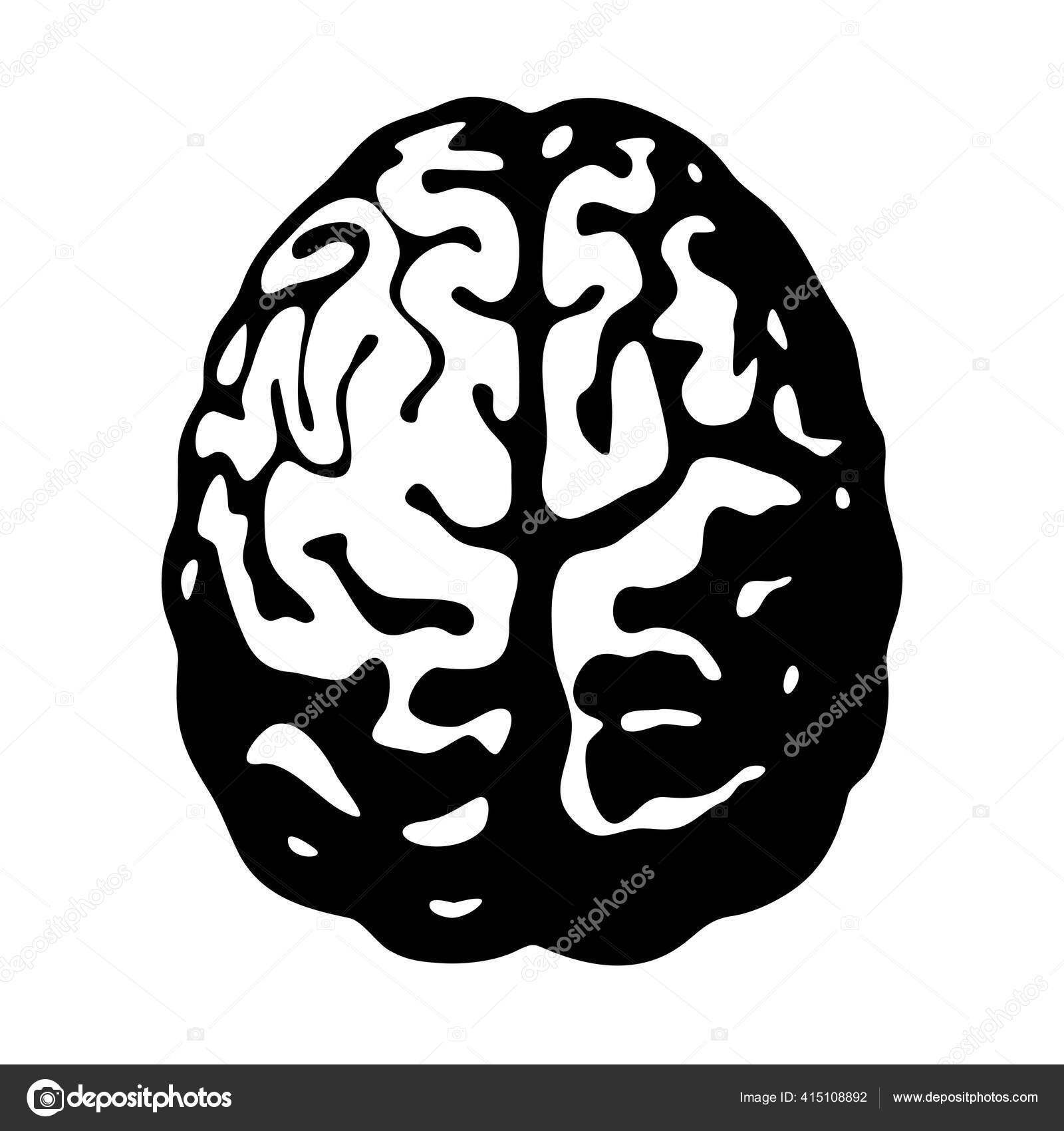 Human Brain Consist Dots Connected Lines Top View Eps8 Rgb Stock Vector ...