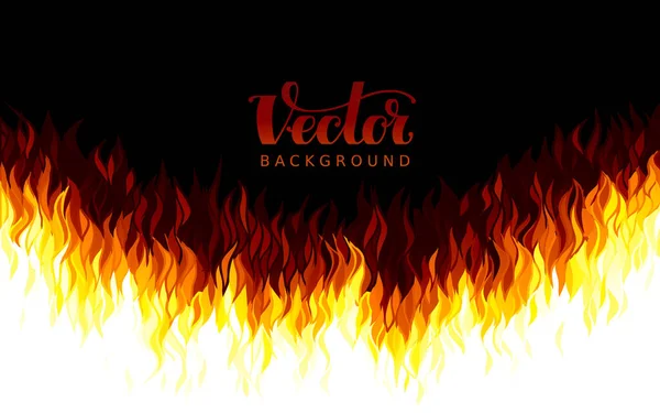 Realistic Transparent Vector Fire Flames Transparent Background Eps10 ...