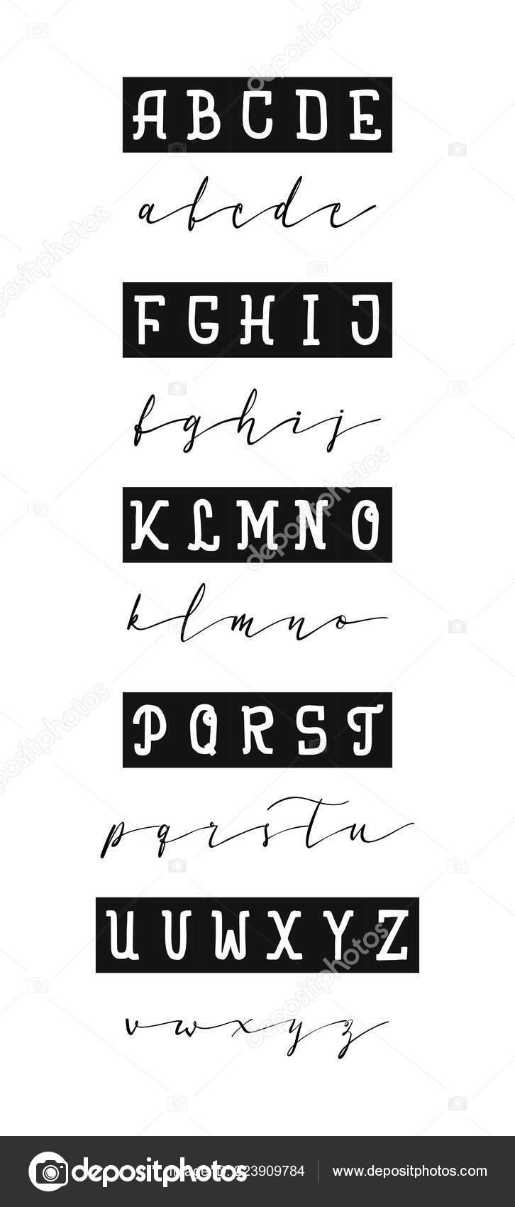 Two font script and bold. Vector hand drawn typeface. Brush painted ...