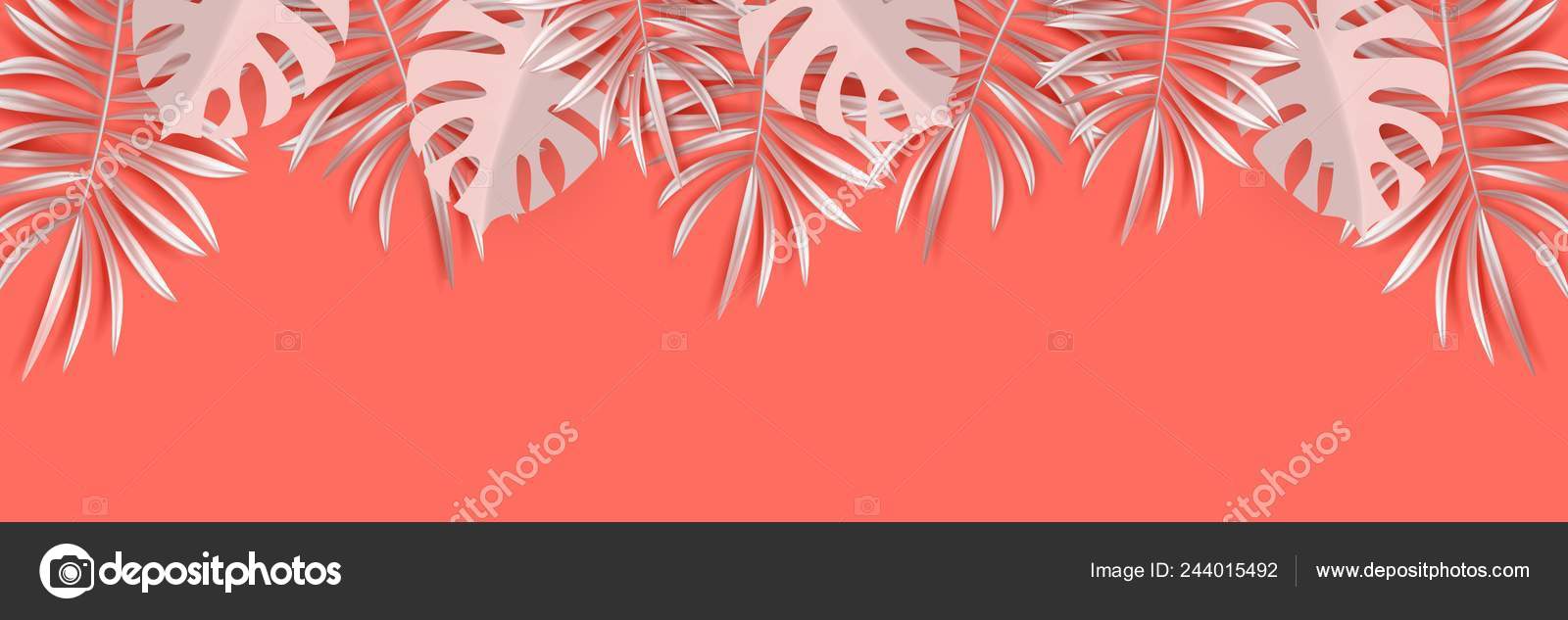 Vector Tropical Horizontal Banner Silvery Palm Monstera Leaves Living ...