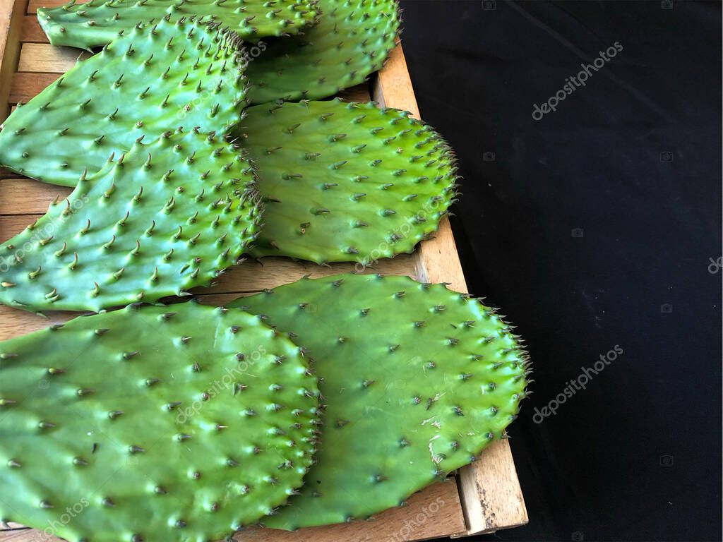 Vegetales típicos de México (nopal) 2022