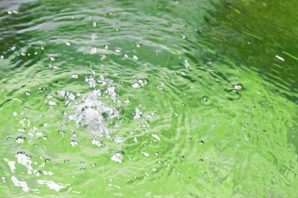 Green water polluted Stock Photos, Royalty Free Green water polluted ...