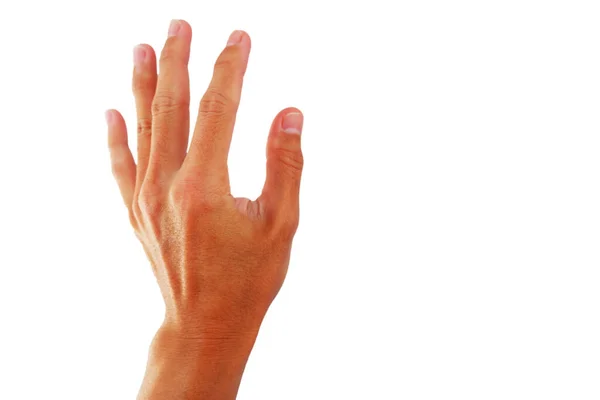 Back of hand Stock Photos, Royalty Free Back of hand Images | Depositphotos