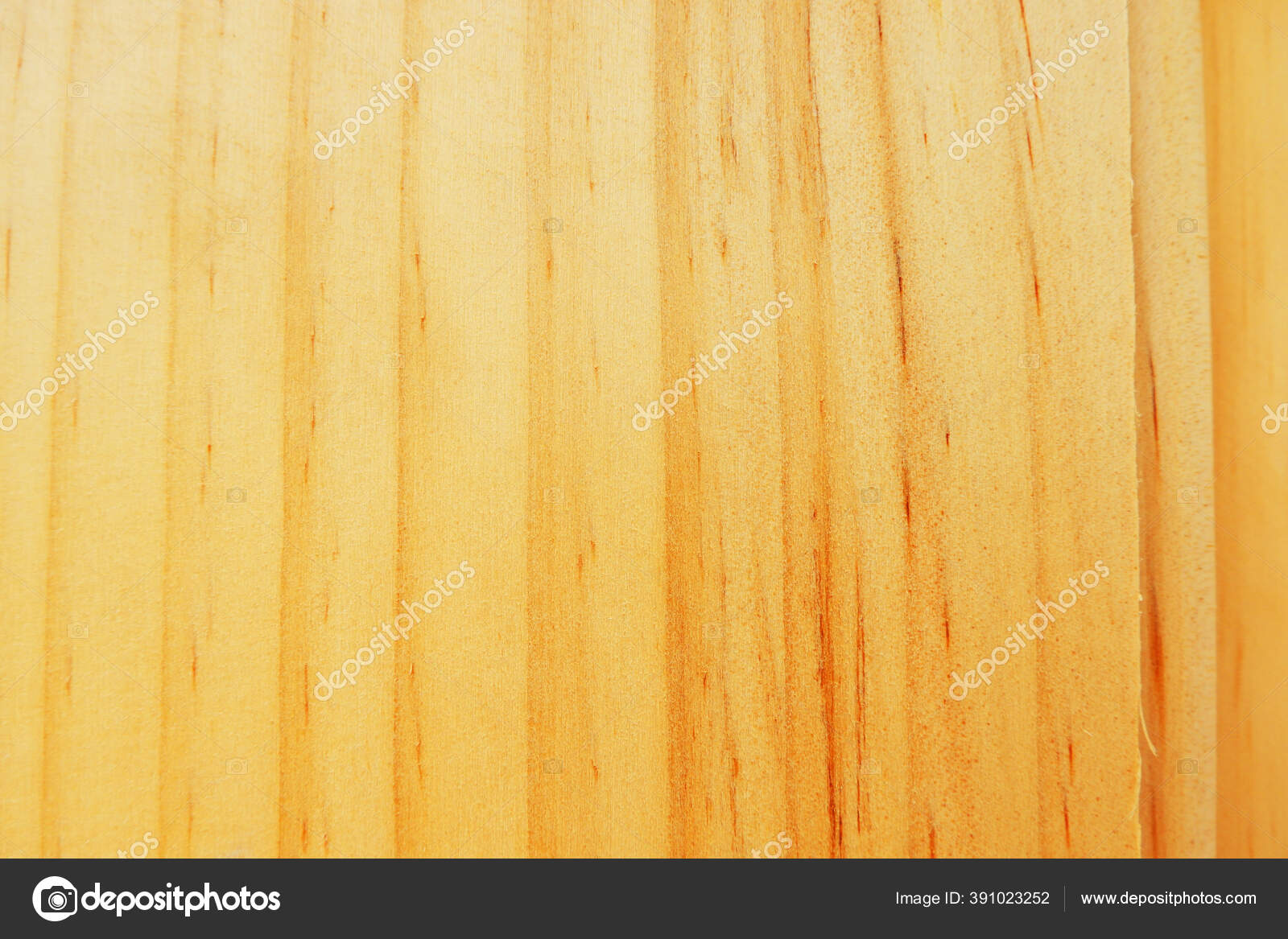 New Zealand Pine Texture Background Stock Photo by ©Masteronline2021 ...