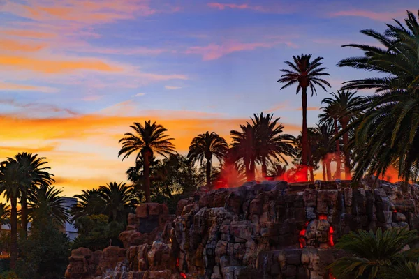 Hollywood Palm Trees Sunset