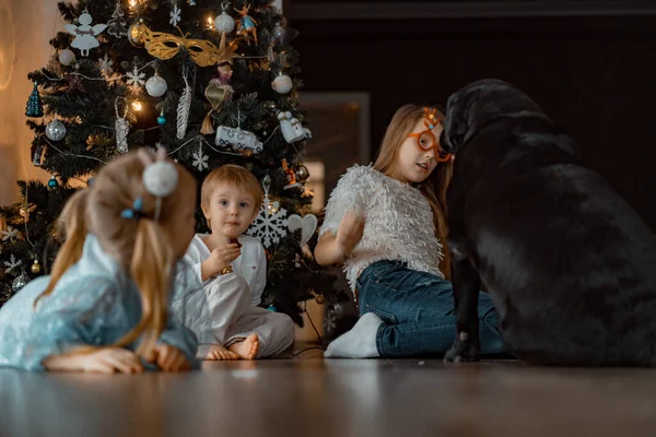 Happy Children Siblings Play Have Fun Christmas Tree — Stock Photo ...