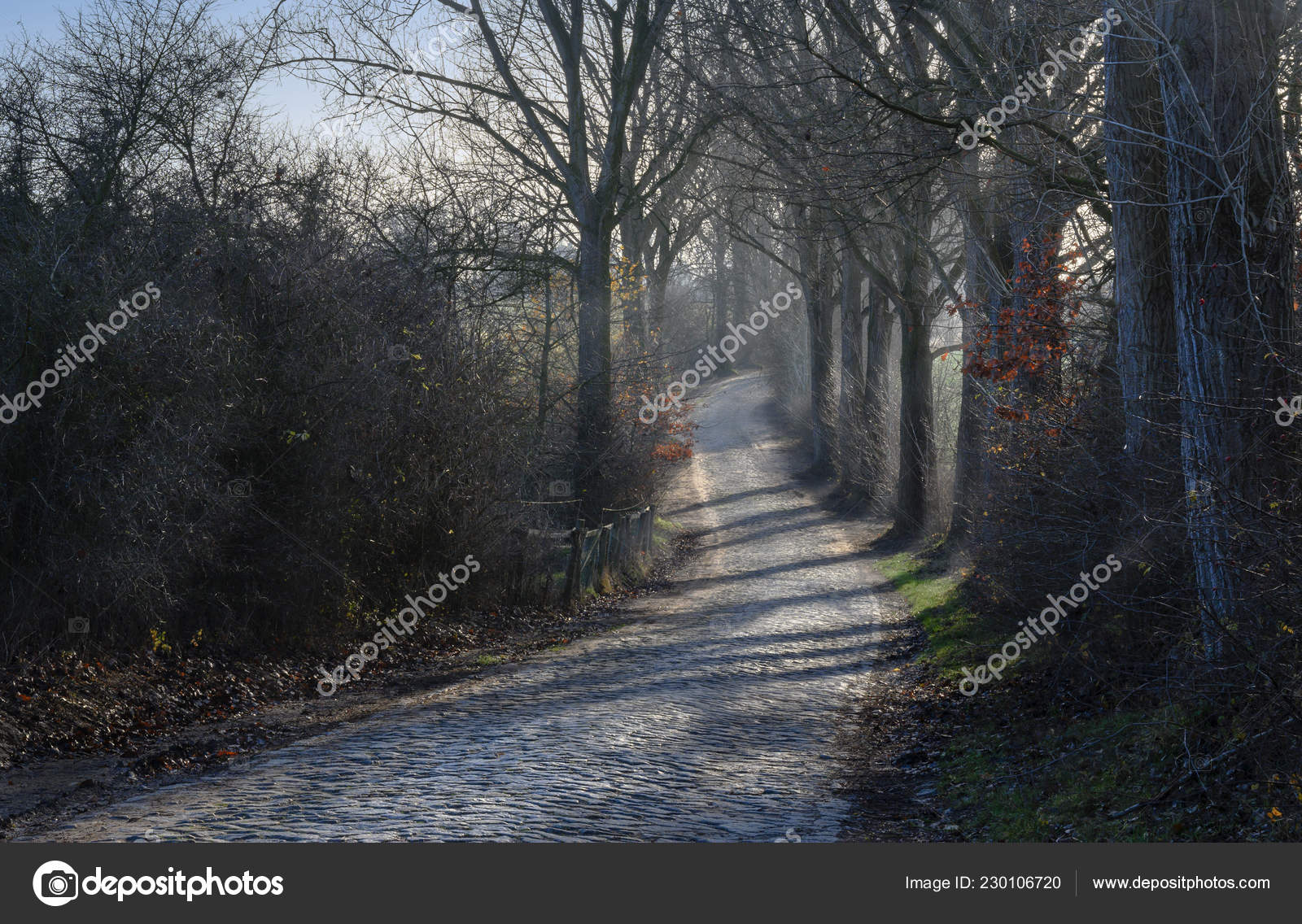 Winding Cobblestone Road