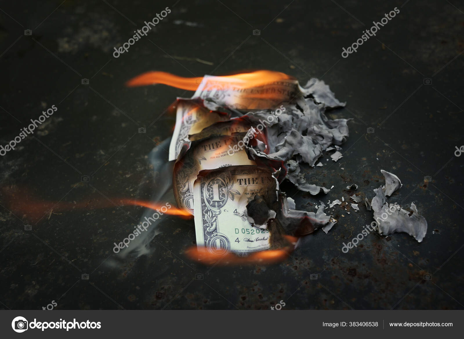 Burned Money Dollar Bills Fire Financial Concept Economic Crisis Stock ...