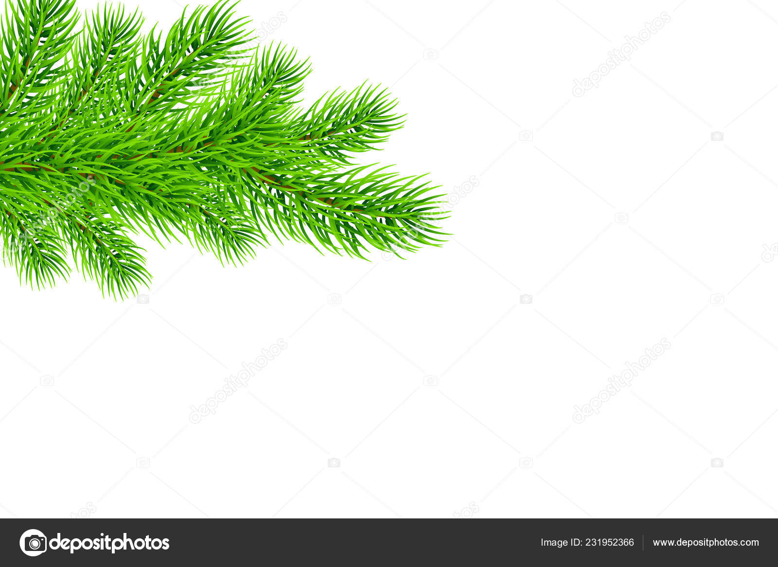 Holiday Christmas frame with fir tree branches. Template for a banner ...