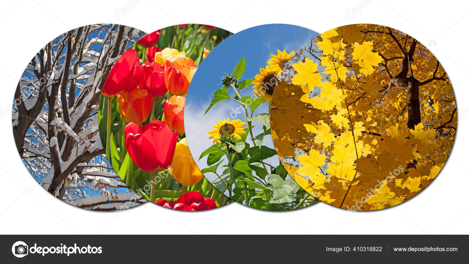 Four Seasons Collage — Stock Photo © mschuppi #410318822