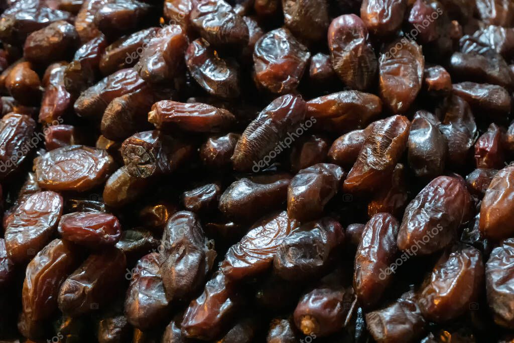 Phoenix dactylifera, comúnmente conocida como datilera o palmera ...