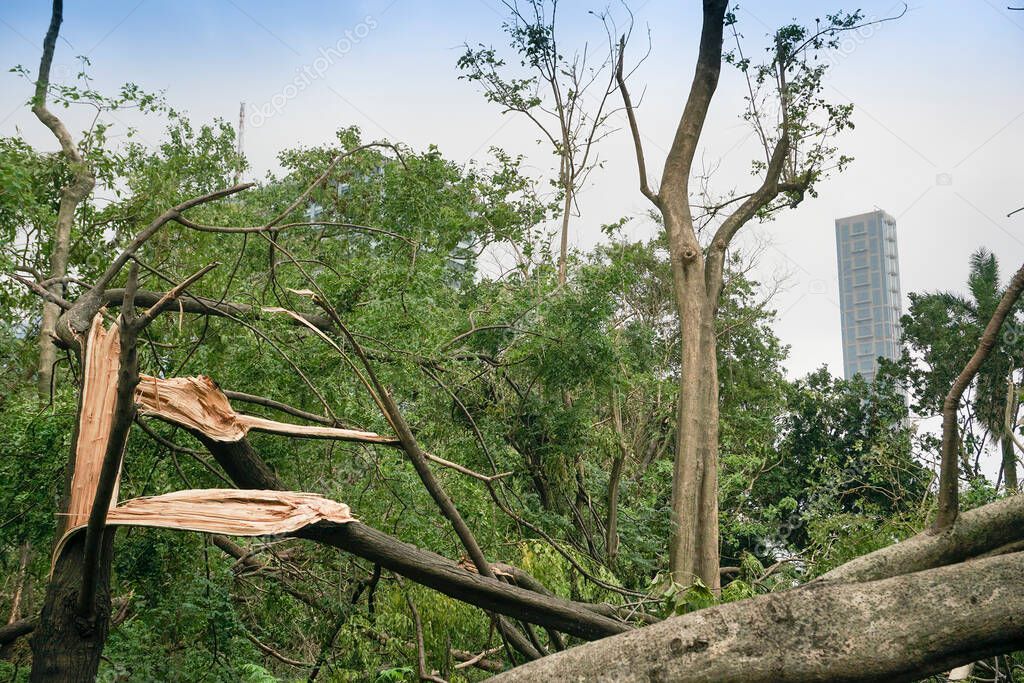 Kolkata, Bengala Occidental, India - 21 de mayo de 2020: Super ciclón ...