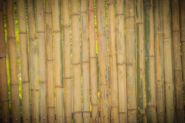 Abstract yellow dried bamboo boundary wall fence texture, bamboo wall ...