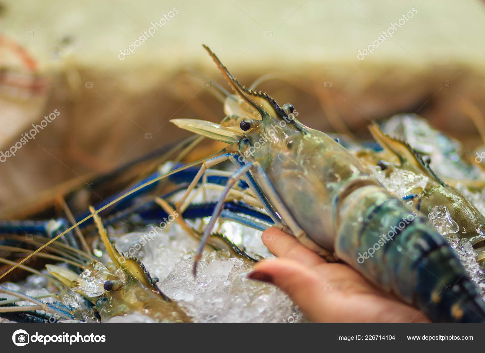 Macrobrachium Rosenbergii Aquaculture