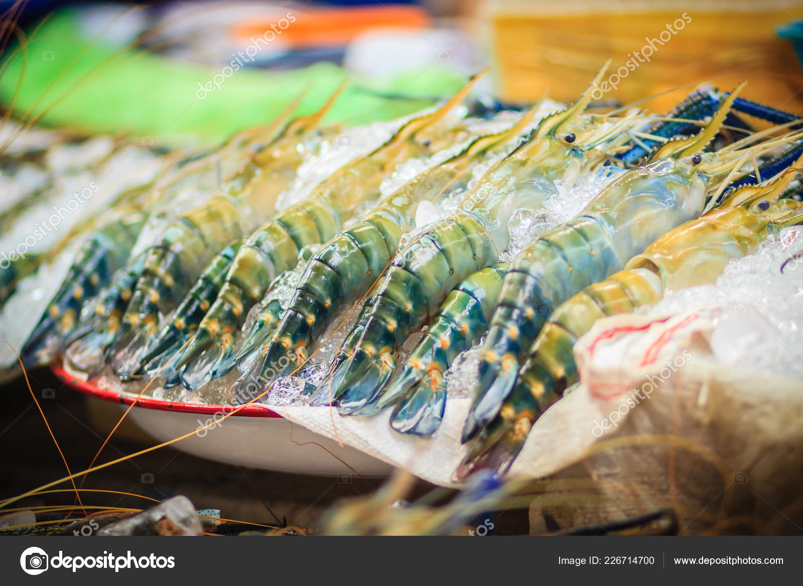 Tamaño Extra Grande Del Camarón Malayo Gigante Macrobrachium ...