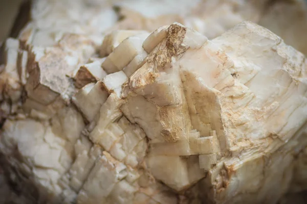 Polymorph of calcium carbonate Stock Photos, Royalty Free Polymorph of ...