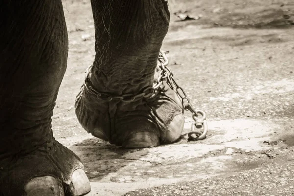 Bemoan Stock Photos, Royalty Free Bemoan Images | Depositphotos®