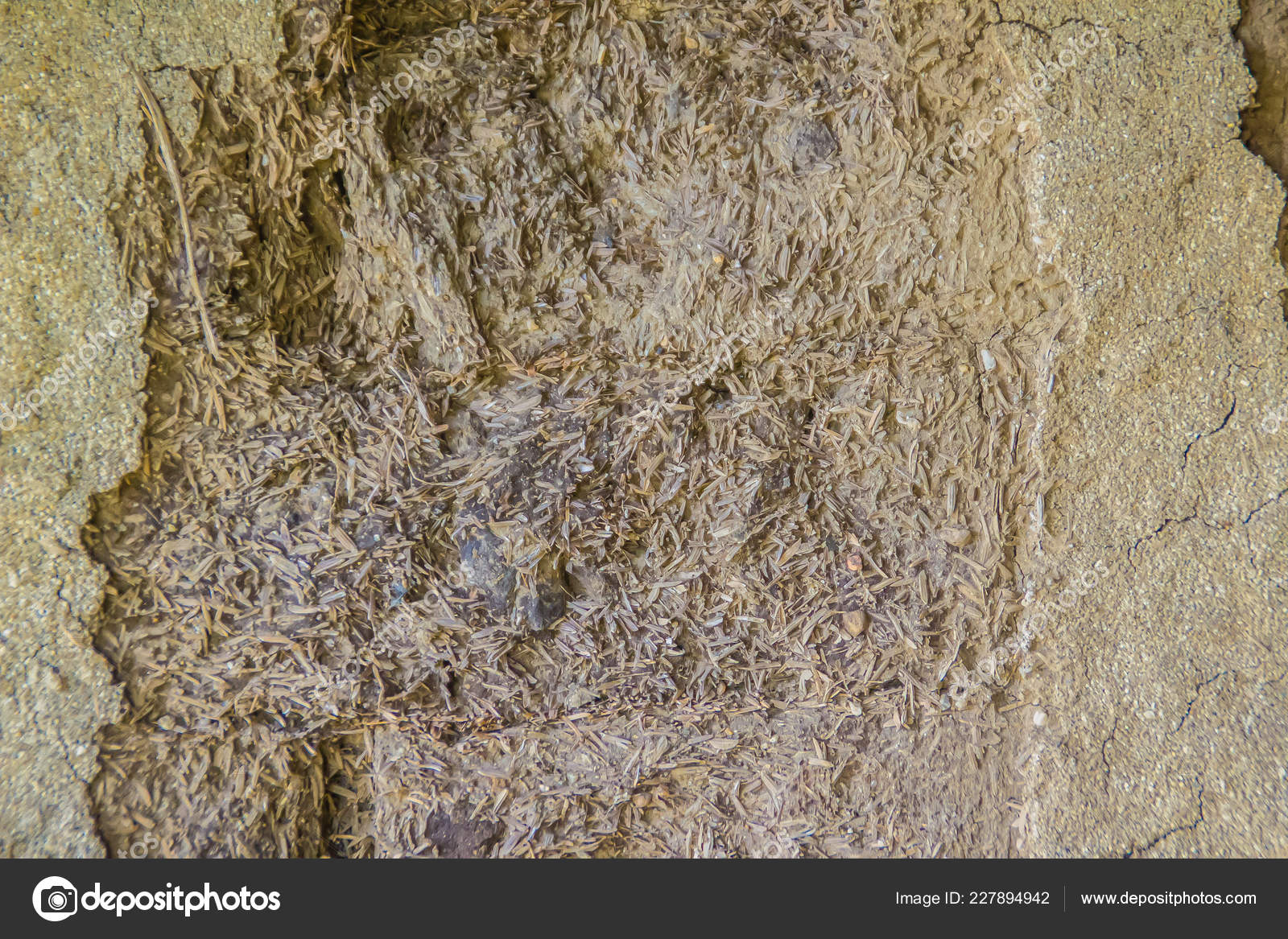 Earthen Wall Background Earth House Also Known Earth Berm Earth Stock ...