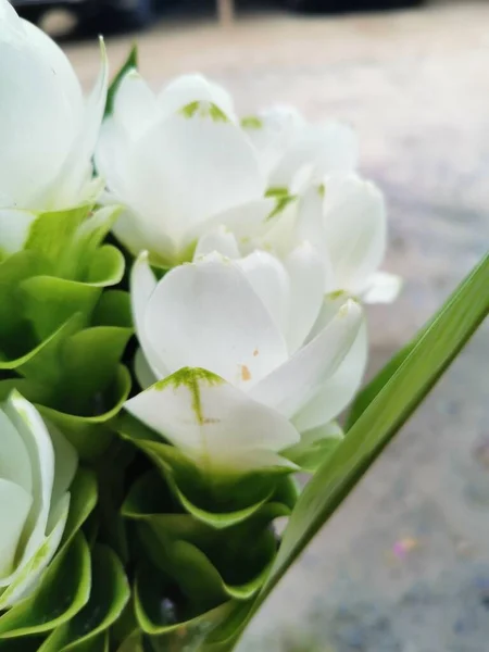 Pathumma Stock Photos, Royalty Free Pathumma Images | Depositphotos