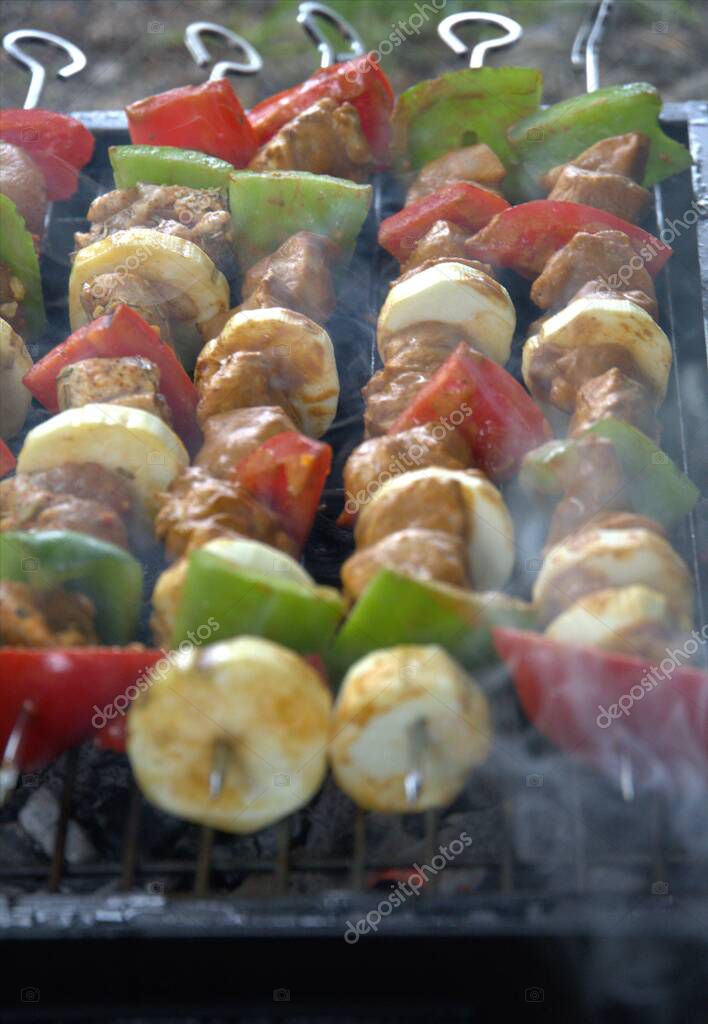 Barbacoa en la naturaleza, pinchos de pollo 2022