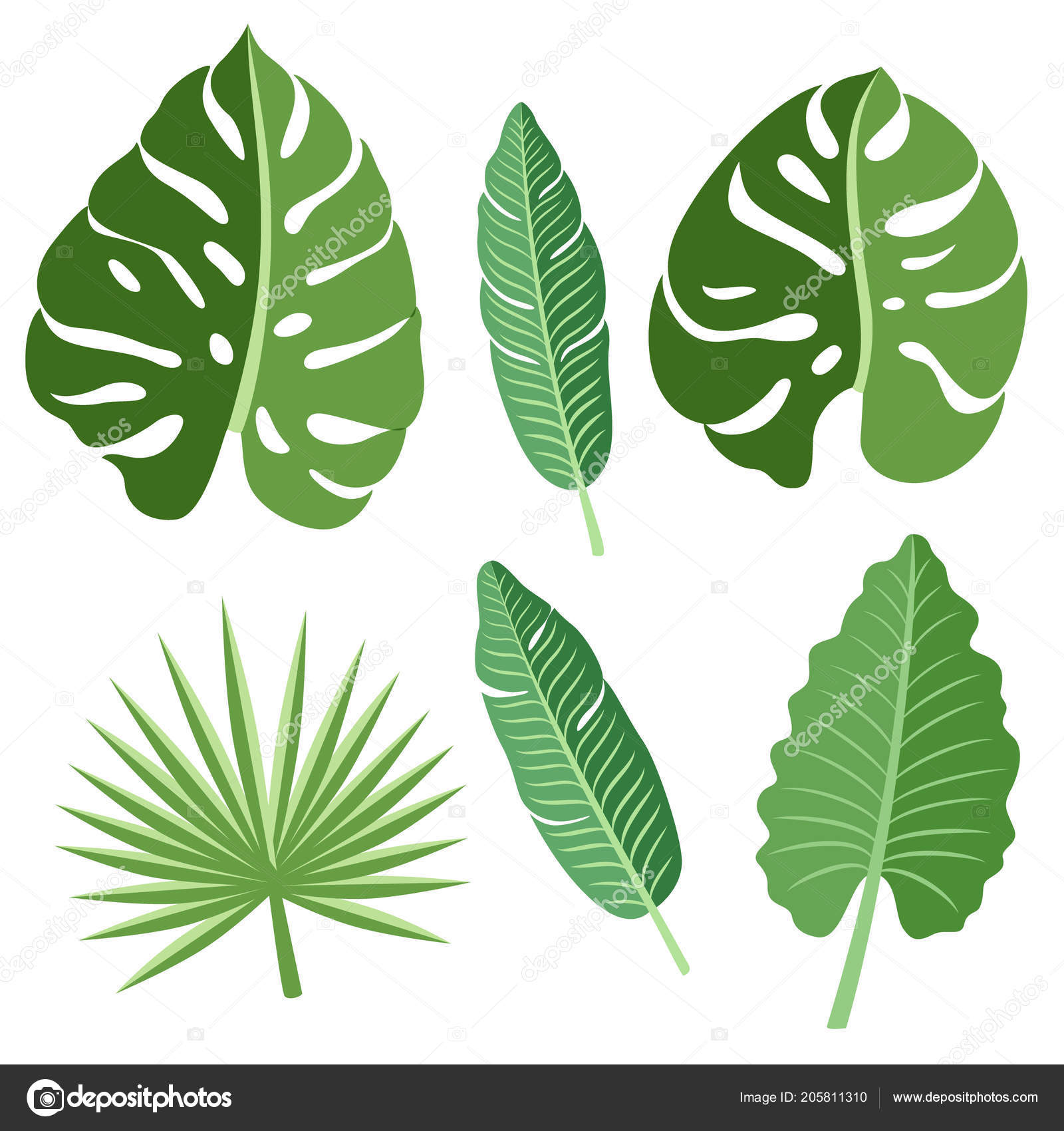 Vector Tropical Leaves Set Stock Vector By ©julija Grozyan 205811310