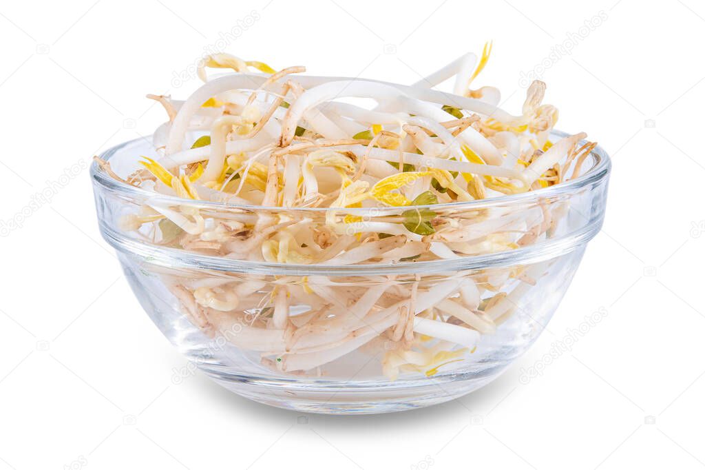 brotes de frijol en vasos tazón aislado sobre fondo blanco. 2022