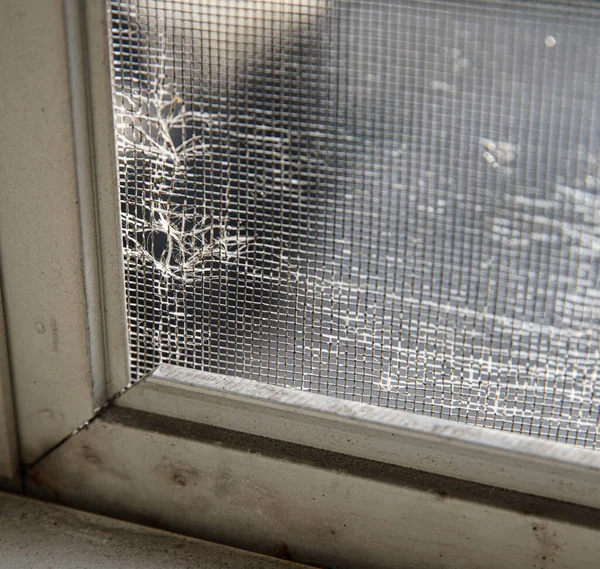 Ripped window screen Stock Photos, Royalty Free Ripped window screen ...