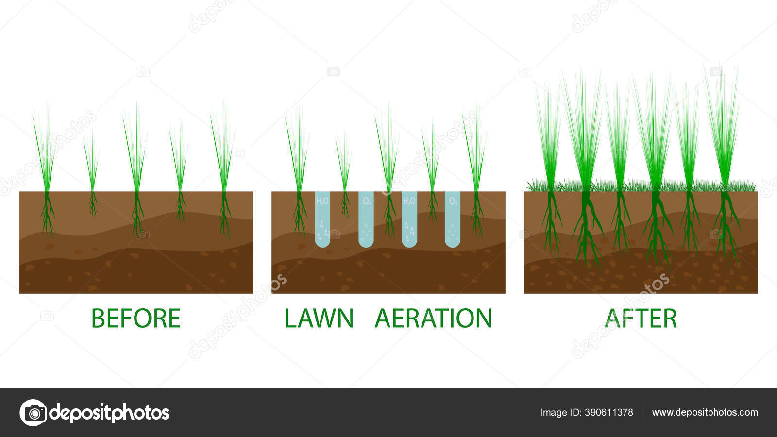 Lawn Aeration Process Steps Lawn Aeration Gardening Grass Lawncare ...