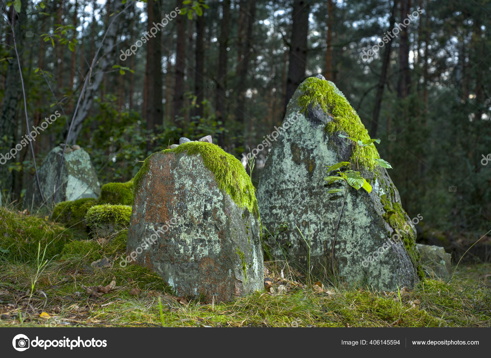 Old Jewish Cemetery Forest Cemetery Located Poland Inscriptions Yiddish ...