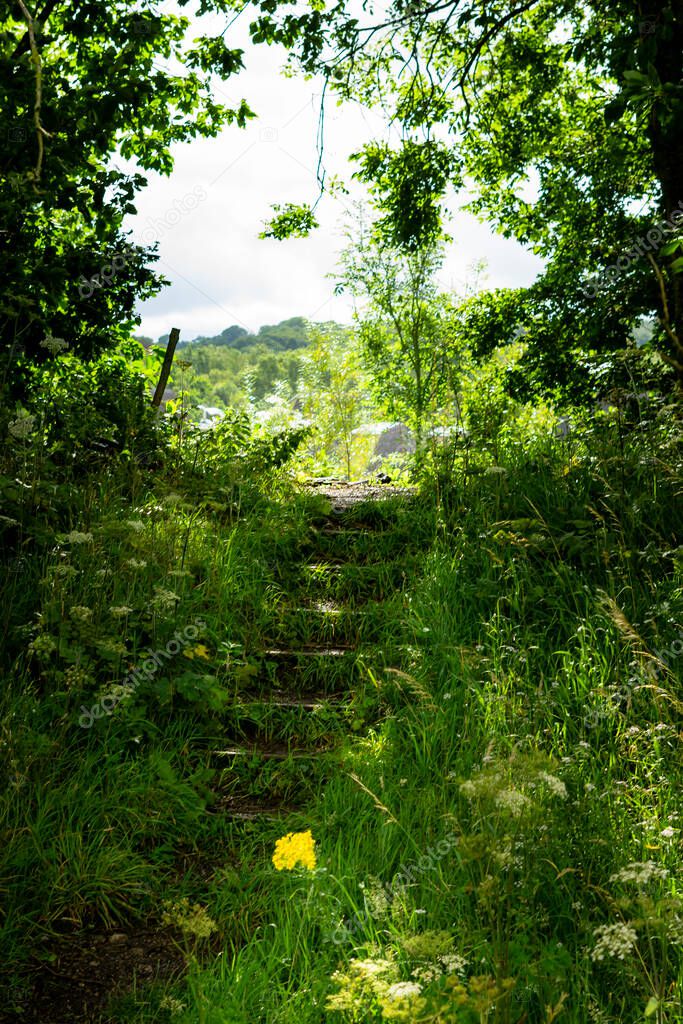 Un impresionante paseo por la naturaleza con un sendero que conduce a ...
